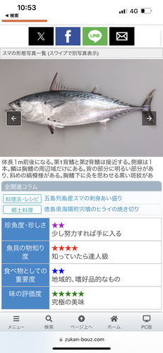 スマ6k台2入約6kg(定置) | UUUO(ウーオ)