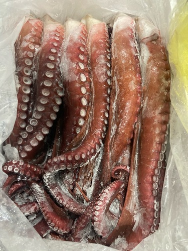 ミズダコ7-10本約10kg | UUUO(ウーオ)