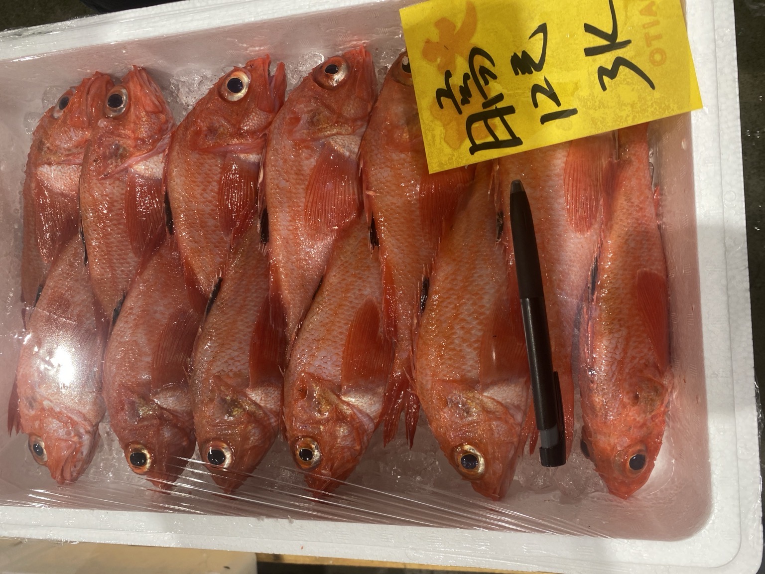 キチジ11/12尾約3kg(刺網) | UUUO(ウーオ)