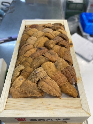 バフンウニ（板）10入約1kg | UUUO(ウーオ)