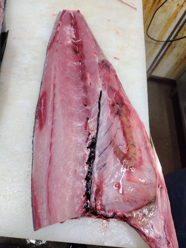 ブリ7/8k1入約7kg(定置) | UUUO(ウーオ)