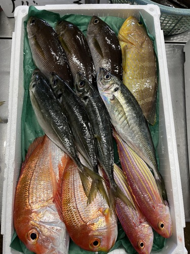 鮮魚BOX | UUUO(ウーオ)