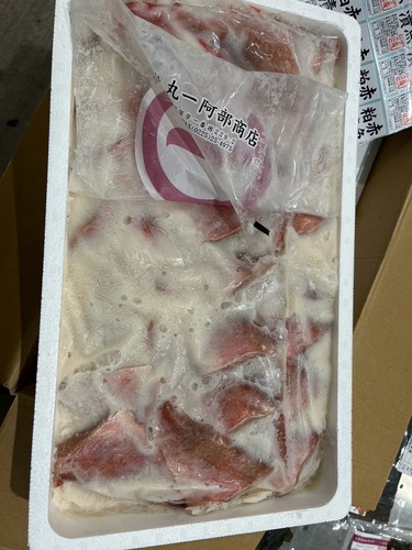 アカウオ約50g約9.6kg | UUUO(ウーオ)