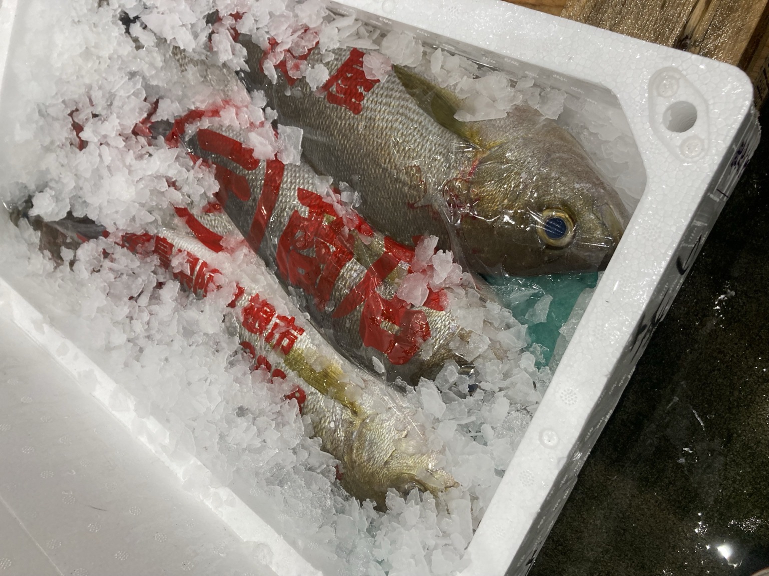 イサキ6入約4kg | UUUO(ウーオ)