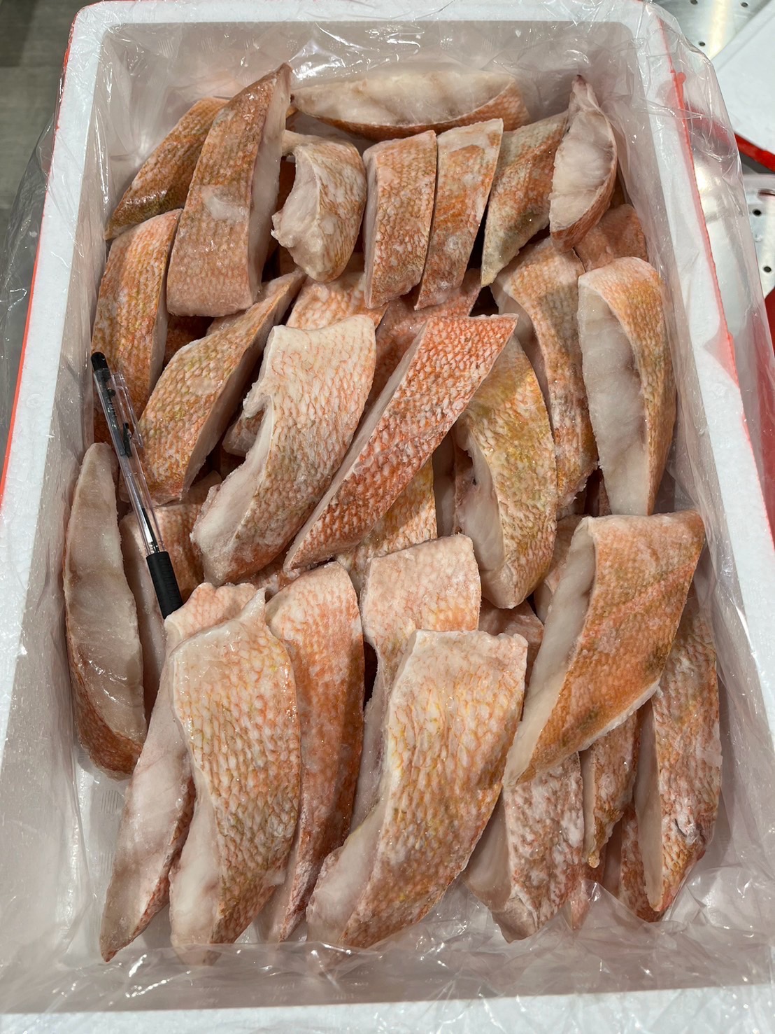 アカウオ70g約3.5kg | UUUO(ウーオ)