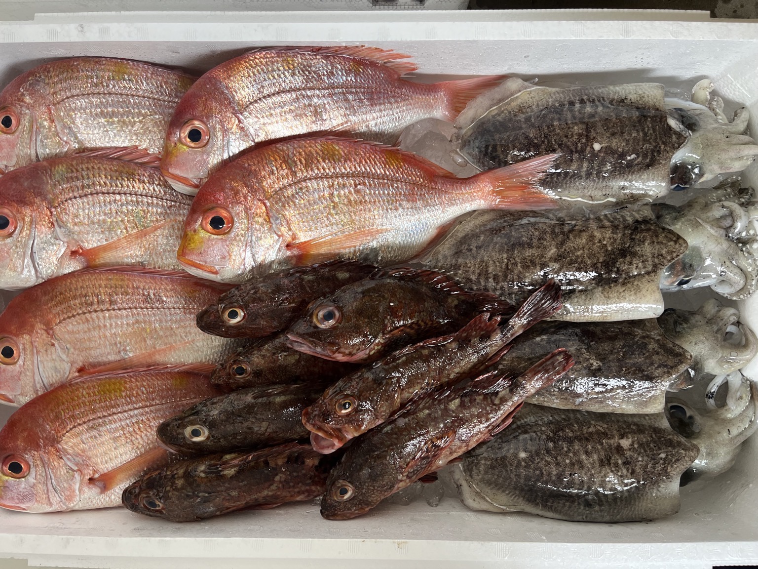 鮮魚BOX17入約3kg(沿岸) | UUUO(ウーオ)