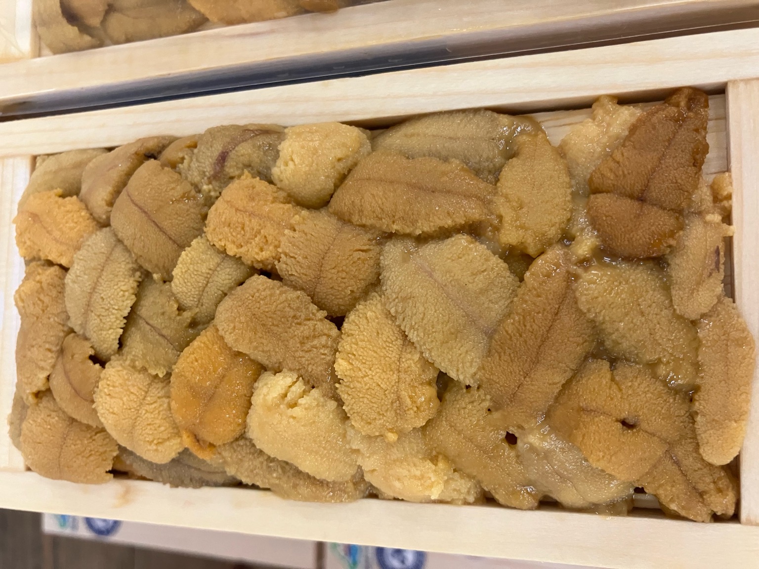 ウニ白100G木箱10入約1kg | UUUO(ウーオ)