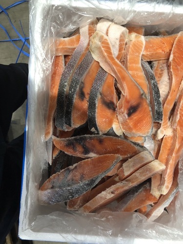 銀鮭約5kg | UUUO(ウーオ)