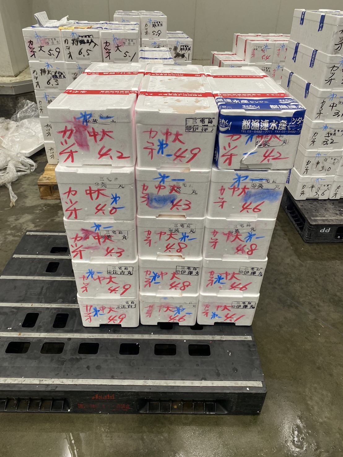 カツオ1入約4kg | UUUO(ウーオ)
