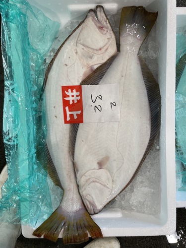 ヒラメ2入約3kg(定置) | UUUO(ウーオ)