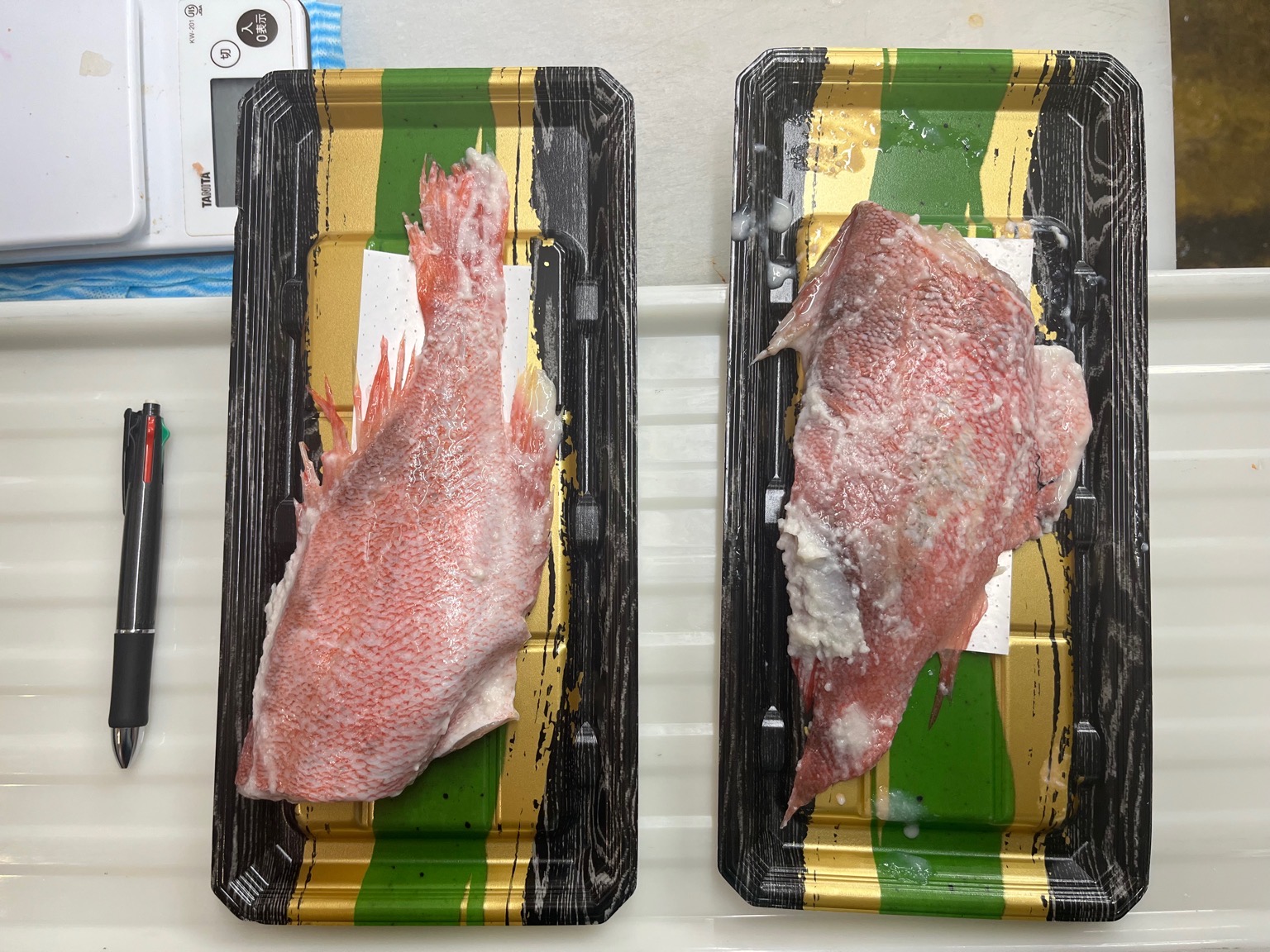 アカウオ220g up約1.05kg | UUUO(ウーオ)