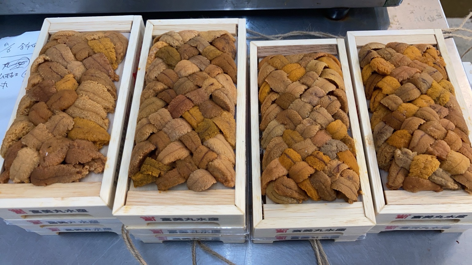 バフンウニ（板） | UUUO(ウーオ)