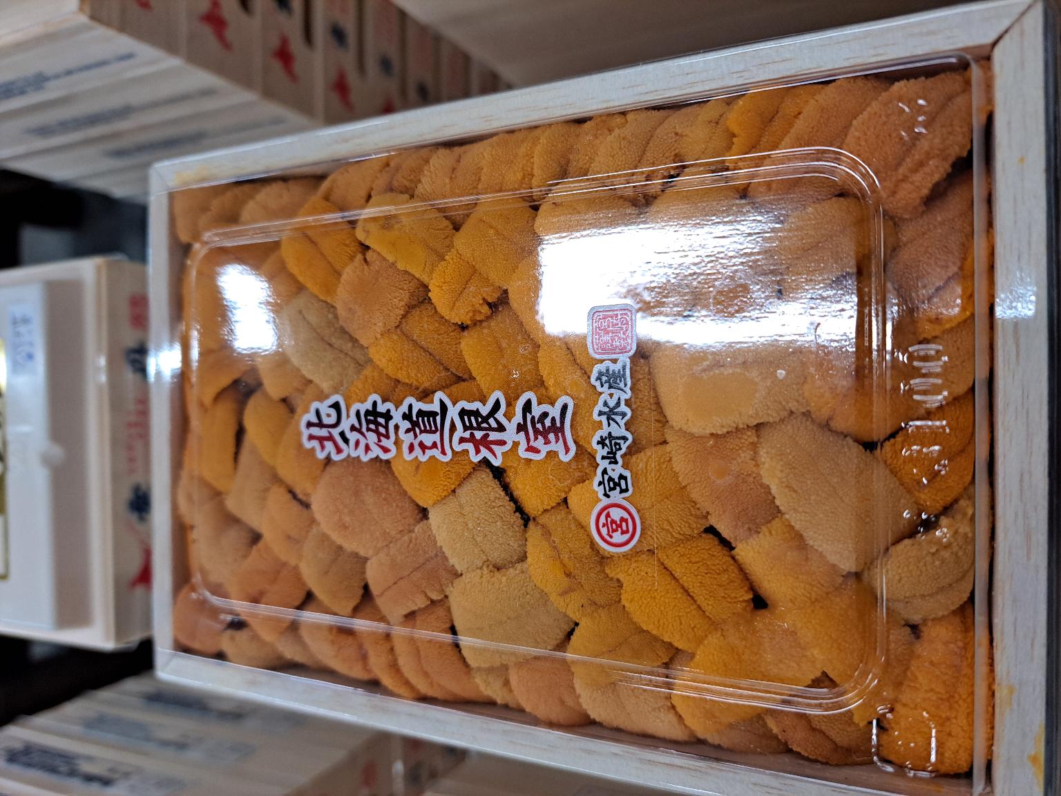 バフンウニ（板）(沿岸) | UUUO(ウーオ)