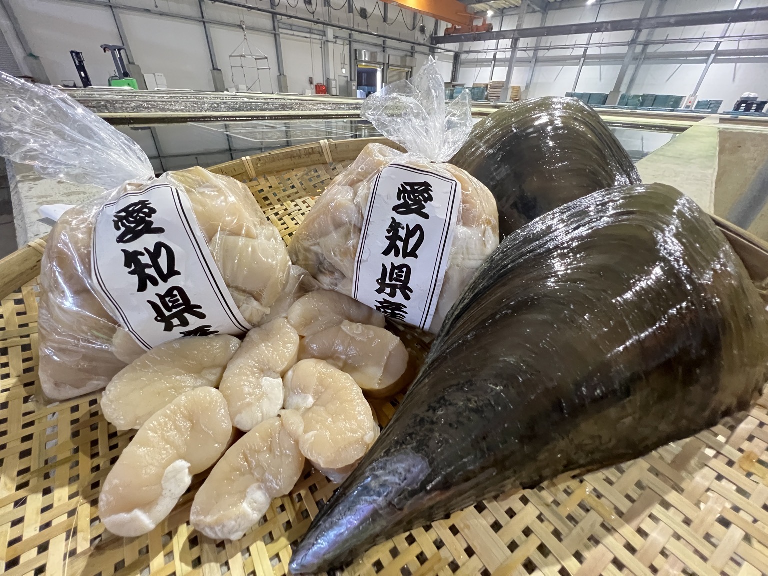活タイラギ大2入約2kg | UUUO(ウーオ)