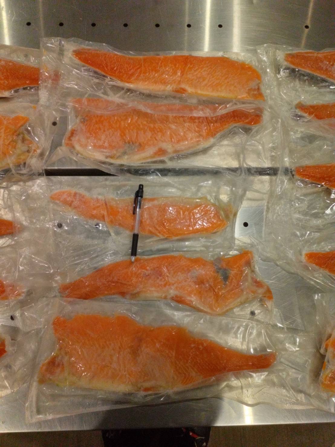 銀鮭約8kg | UUUO(ウーオ)