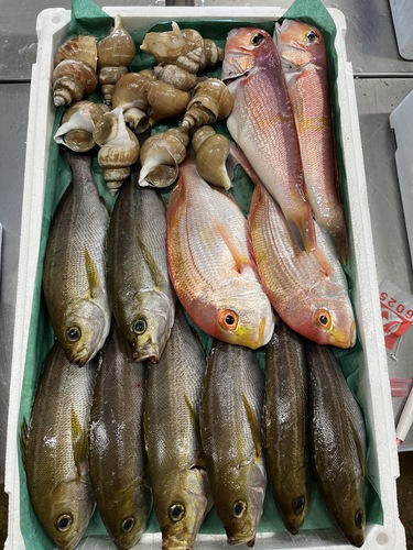 鮮魚BOX | UUUO(ウーオ)