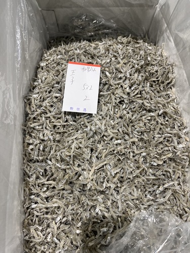 その他 | UUUO(ウーオ)