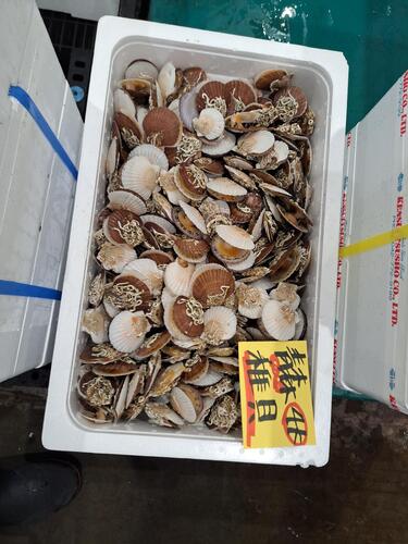 ホタテガイ約4kg(沿岸) | UUUO(ウーオ)