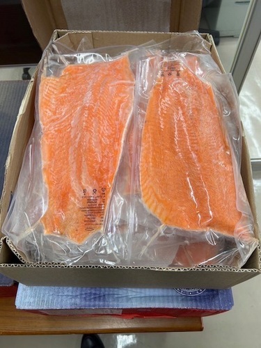 サーモントラウト（養殖）約10kg | UUUO(ウーオ)