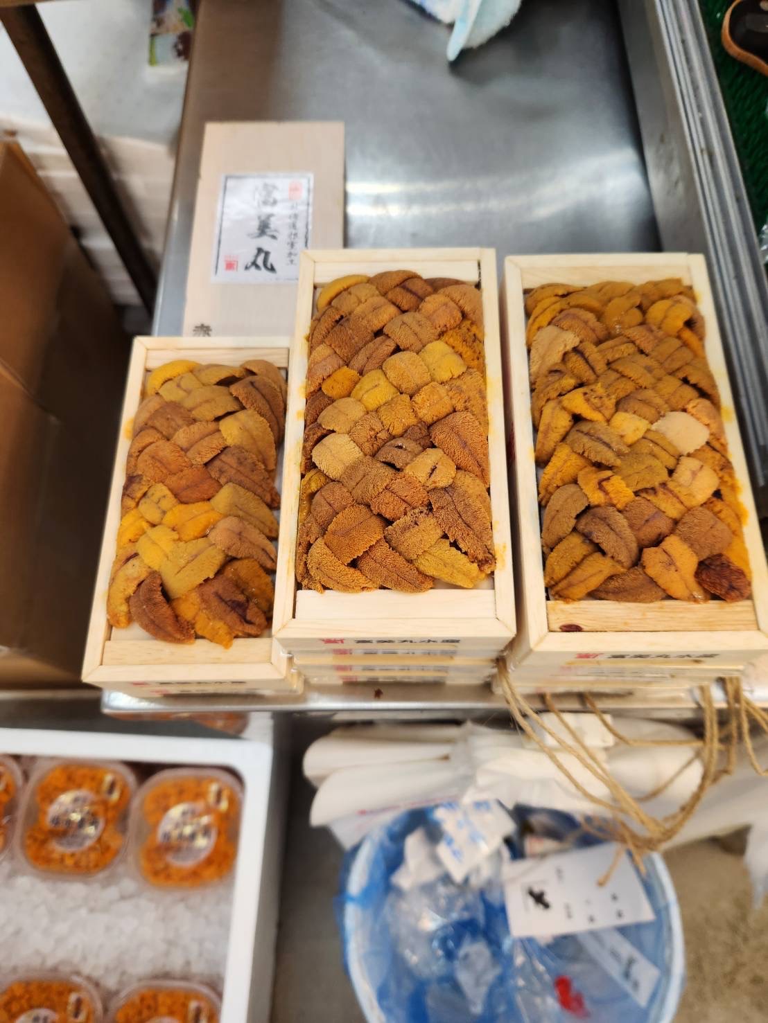 バフンウニ（板） | UUUO(ウーオ)