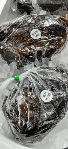 ワカメ1.0kg3入約3kg | UUUO(ウーオ)