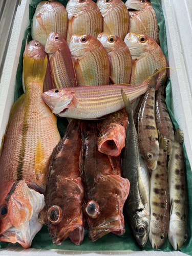 鮮魚BOX | UUUO(ウーオ)