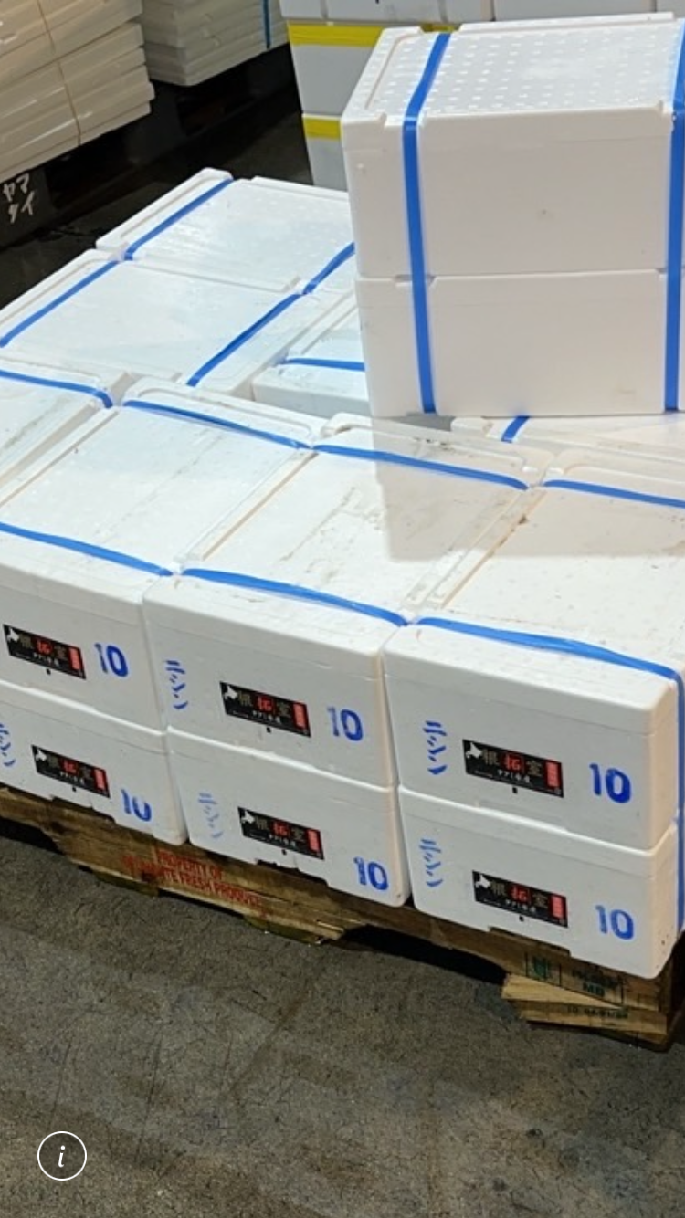 ニシン | UUUO(ウーオ)