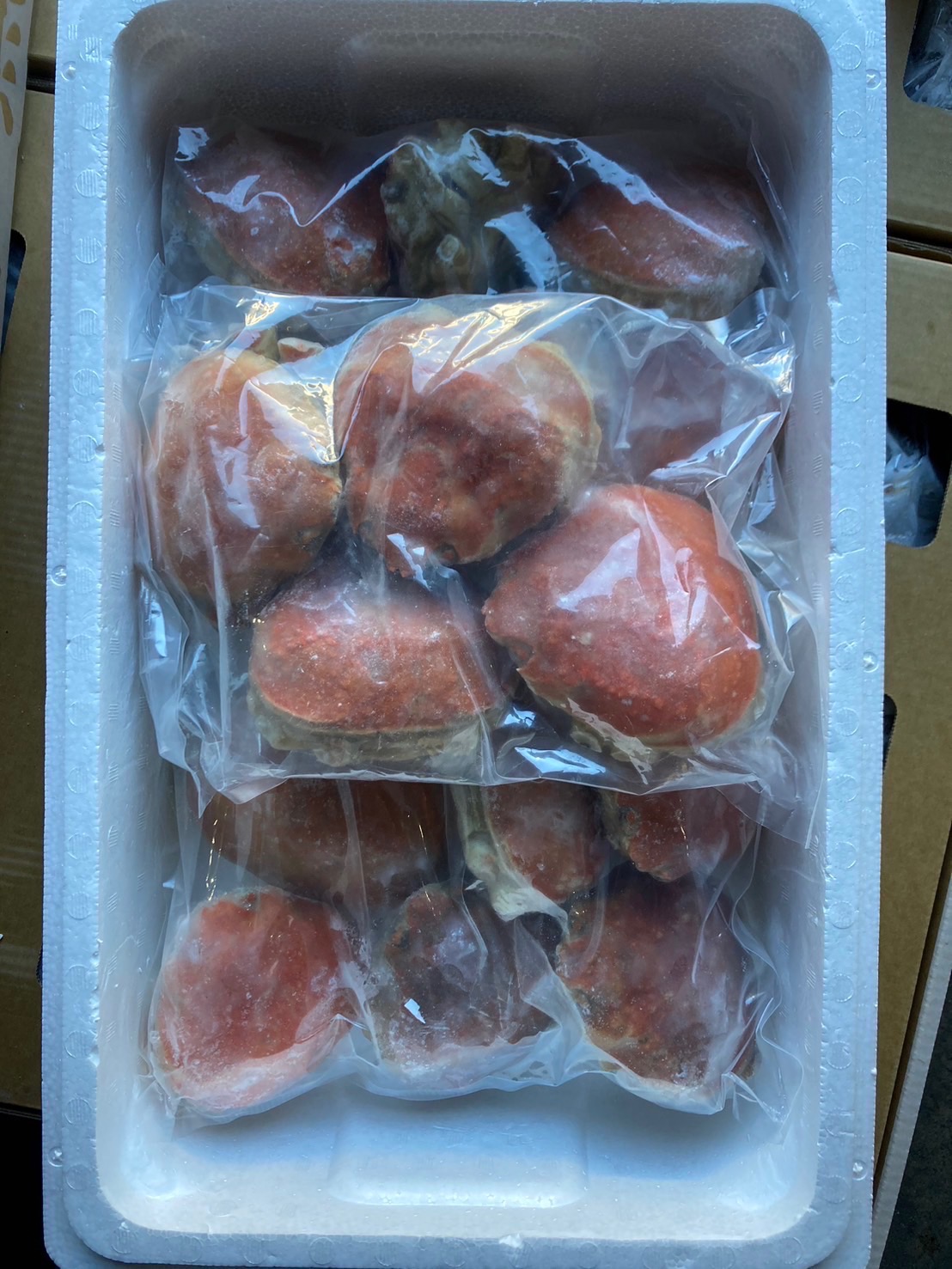 ズワイガニ約6kg | UUUO(ウーオ)