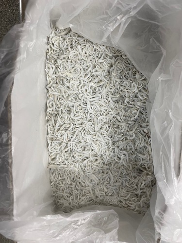 釜揚げシラス細目12入約12kg | UUUO(ウーオ)