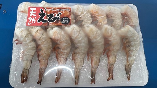ホワイトエビ約4.6kg | UUUO(ウーオ)