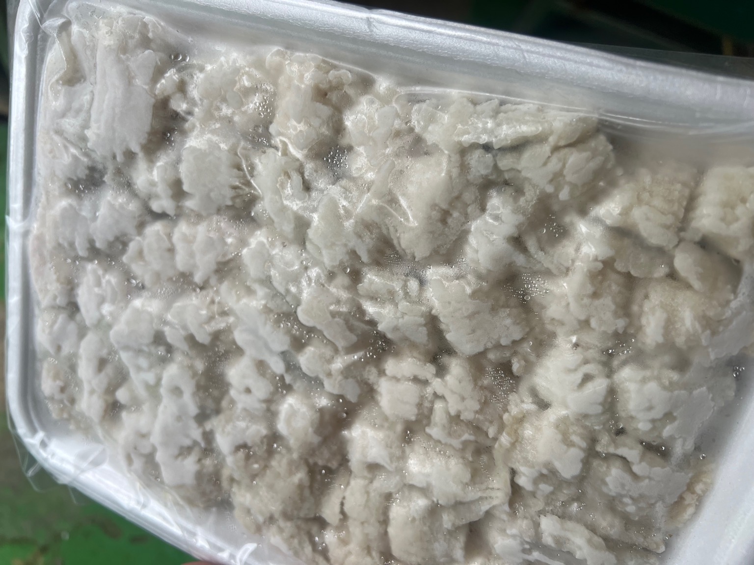 神経〆骨切りハモ500g 10pc入約5kg | UUUO(ウーオ)