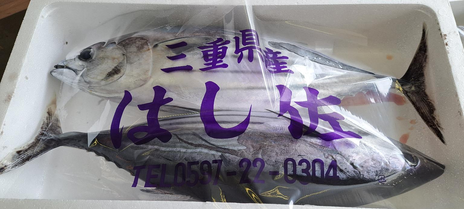 カツオ中2入約5.5kg(釣) | UUUO(ウーオ)