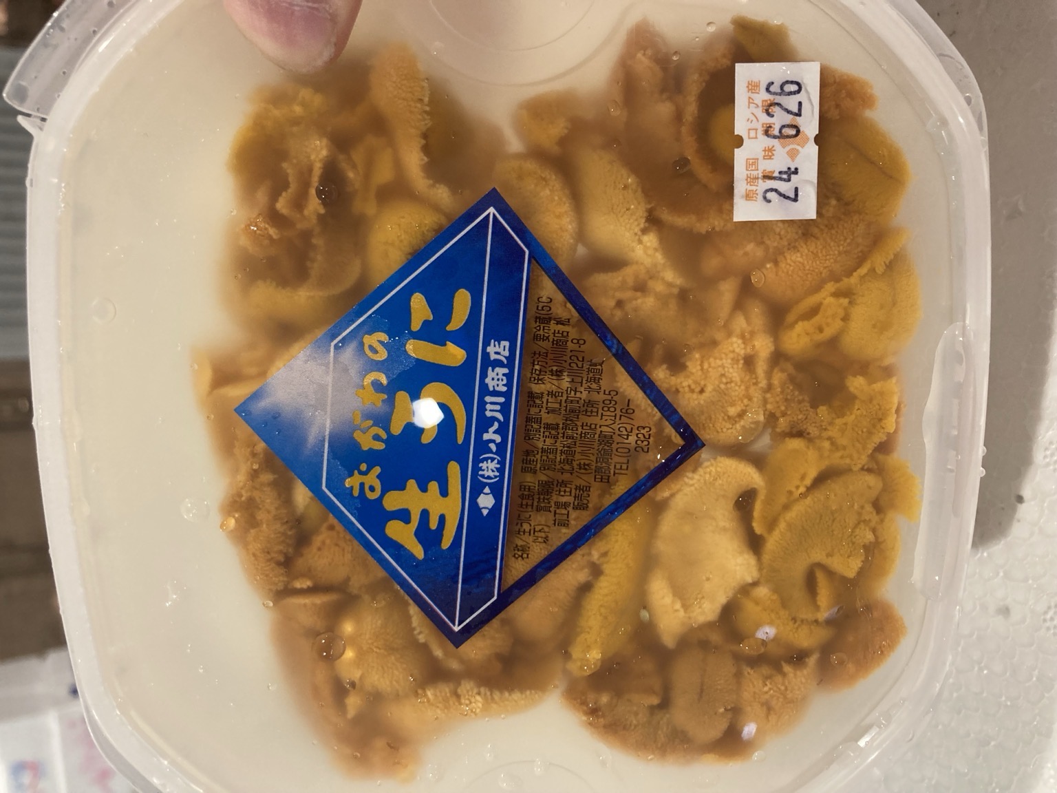 バフンウニ（塩水） | UUUO(ウーオ)