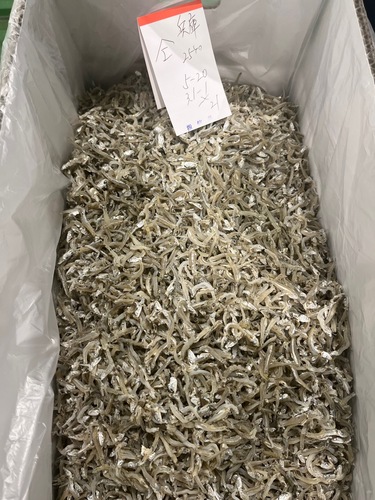 ちりめんしらす約5kg | UUUO(ウーオ)