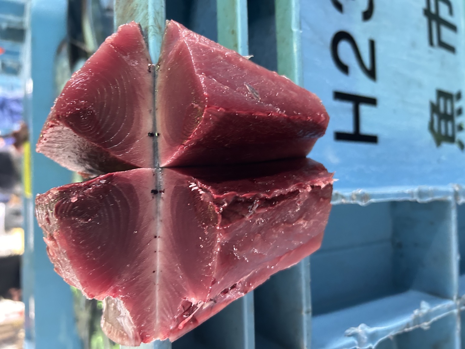 カツオ4入約10.5kg | UUUO(ウーオ)