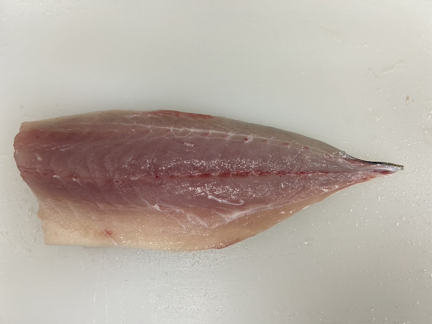 マアジ湾内物13-17入約5kg(定置) | UUUO(ウーオ)