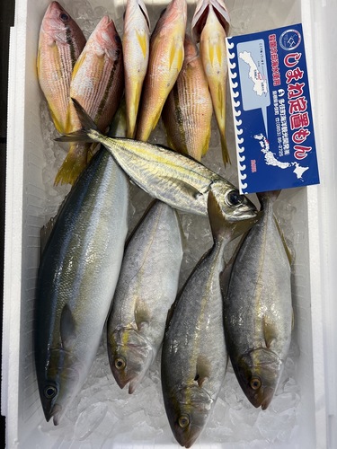 鮮魚BOX約3kg(定置) | UUUO(ウーオ)