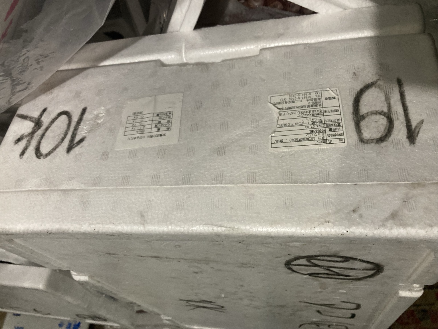 ミズダコ19-23本約10kg | UUUO(ウーオ)