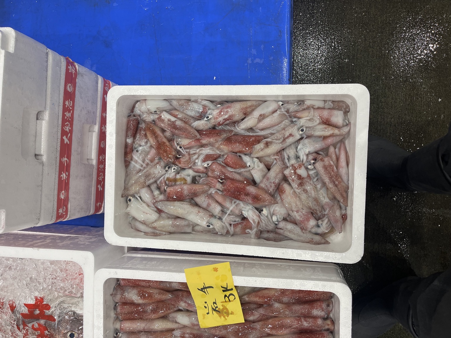 ケンサキイカバラ45入約4kg(定置) | UUUO(ウーオ)