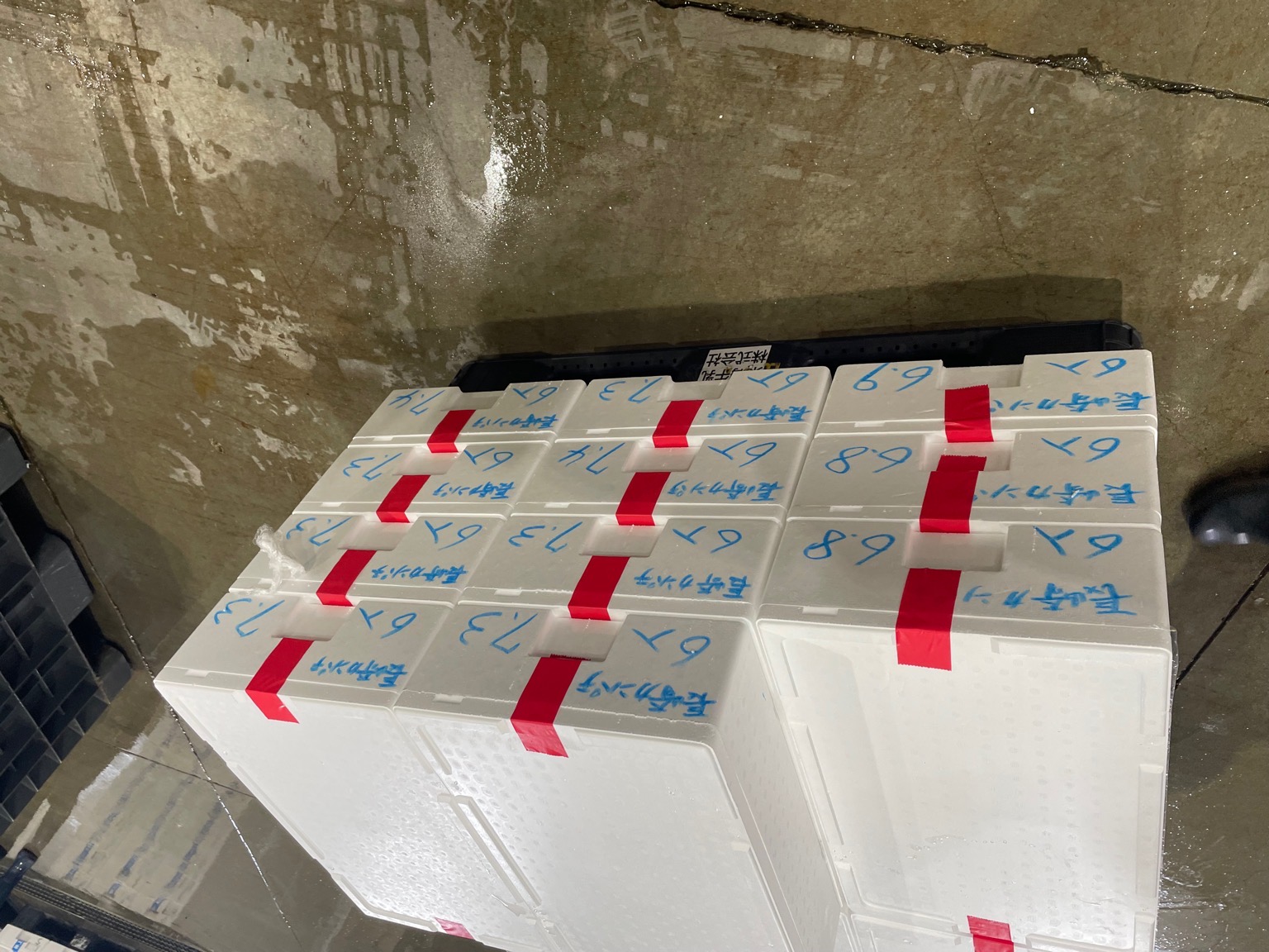 カンパチ1.2k6入約7.2kg(巻網) | UUUO(ウーオ)