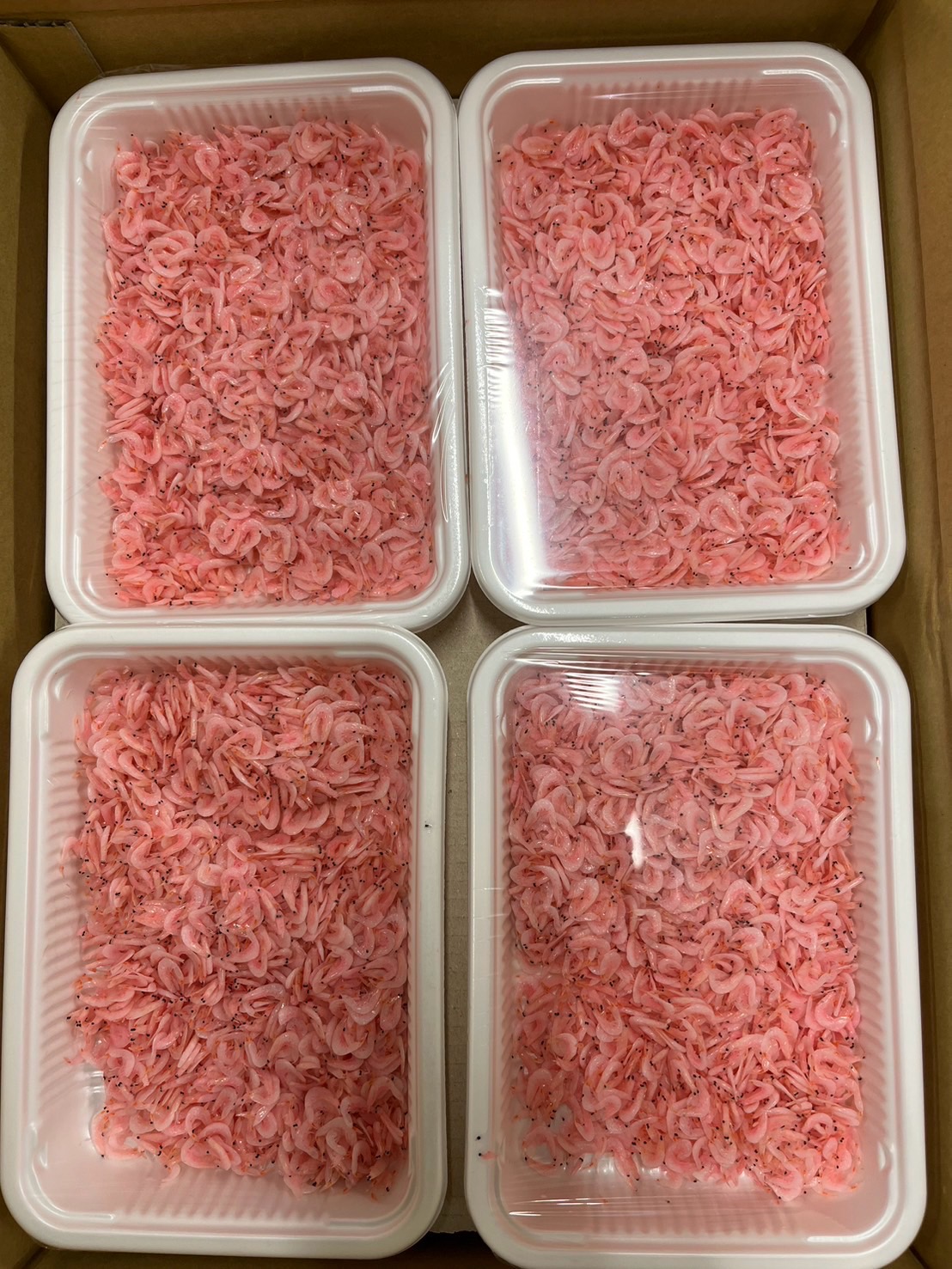 アミエビ約2.88kg | UUUO(ウーオ)