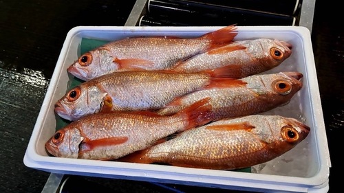 アカムツ1.2/1.5k1入約1.2kg(釣) | UUUO(ウーオ)