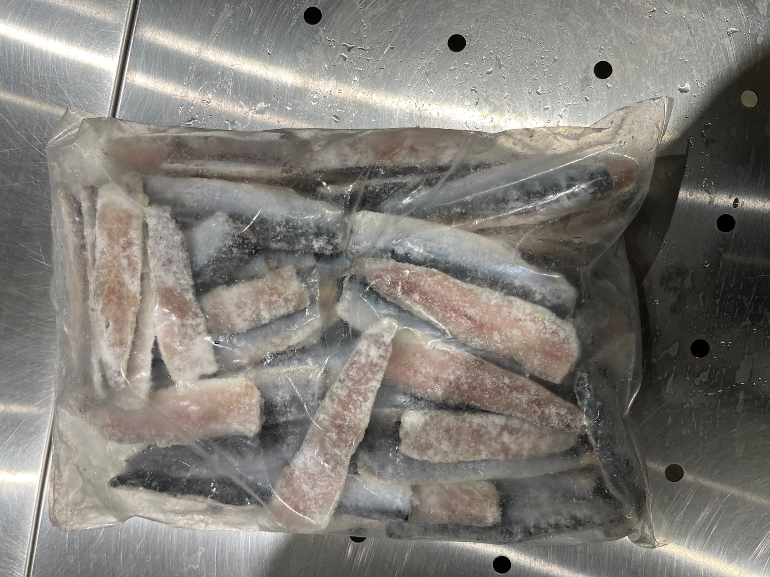 マイワシ（冷凍）約12kg | UUUO(ウーオ)