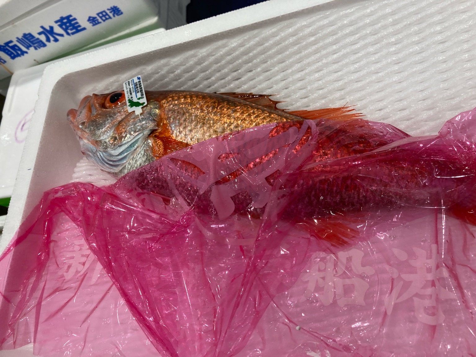 赤ムツ1入約1.8kg(釣) | UUUO(ウーオ)
