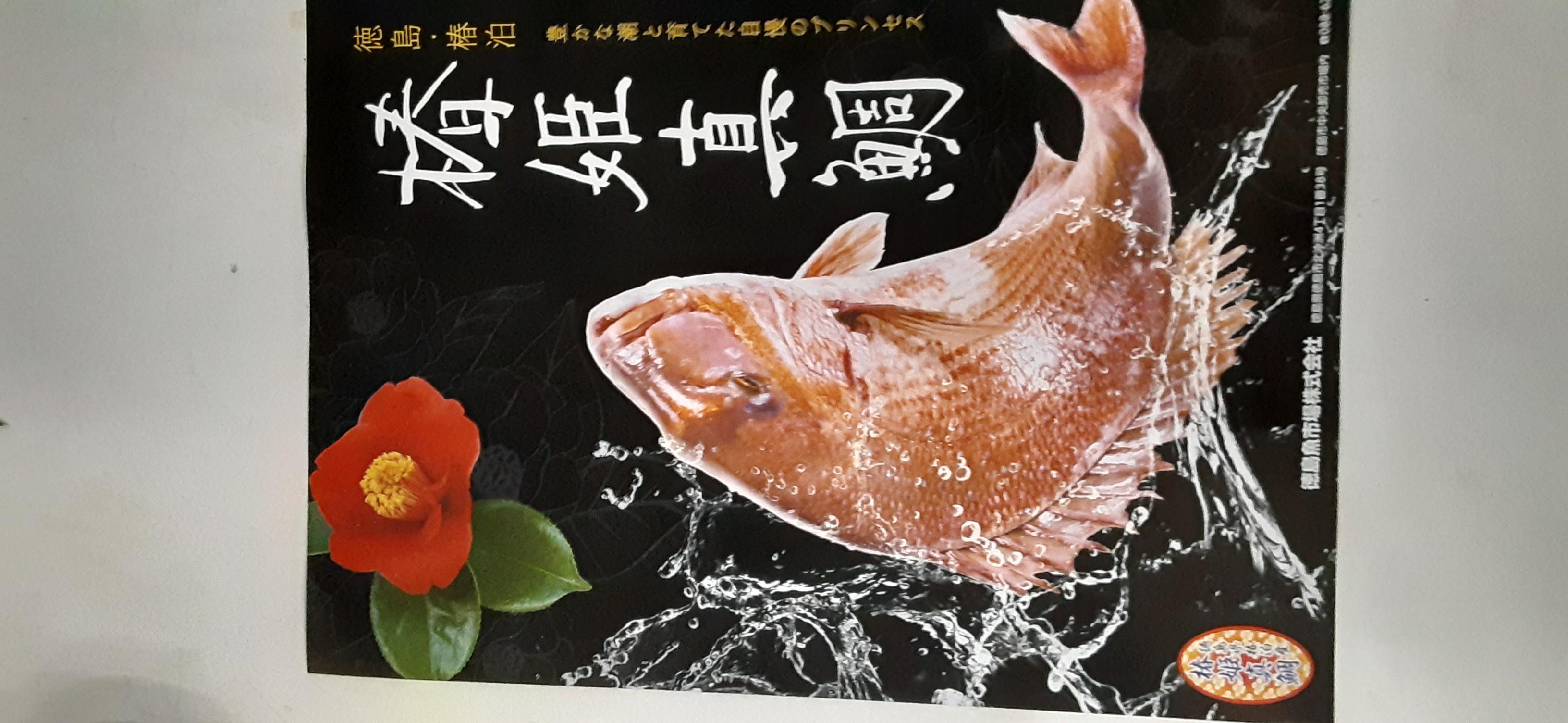 神経〆マダイ（養殖）3入約6kg(沿岸) | UUUO(ウーオ)