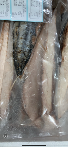 カツオ（冷凍） | UUUO(ウーオ)