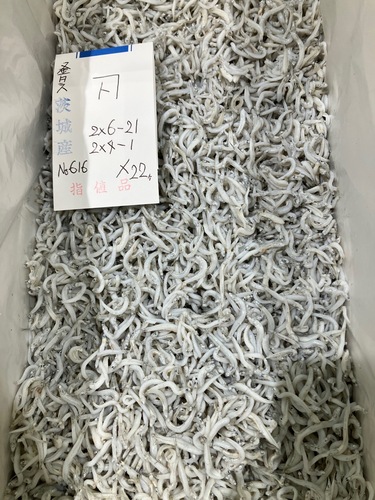 釜揚げシラス2kg6入約12kg | UUUO(ウーオ)