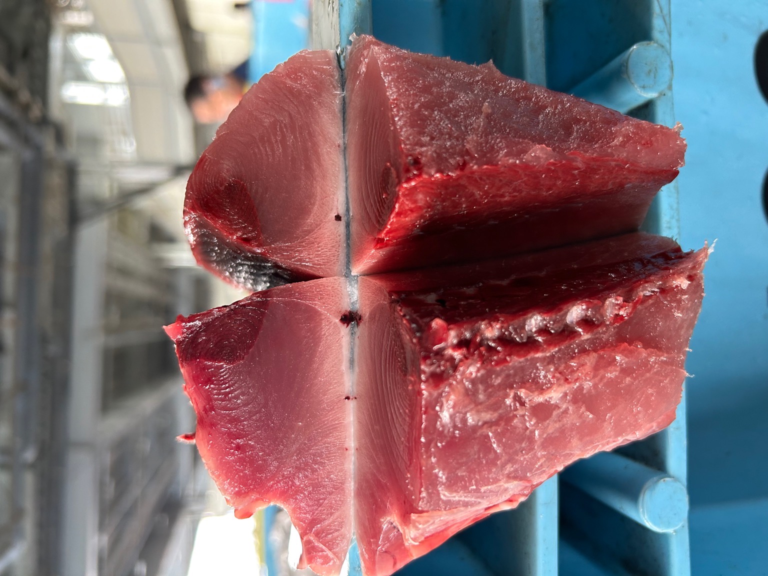 カツオ4入約10.5kg | UUUO(ウーオ)