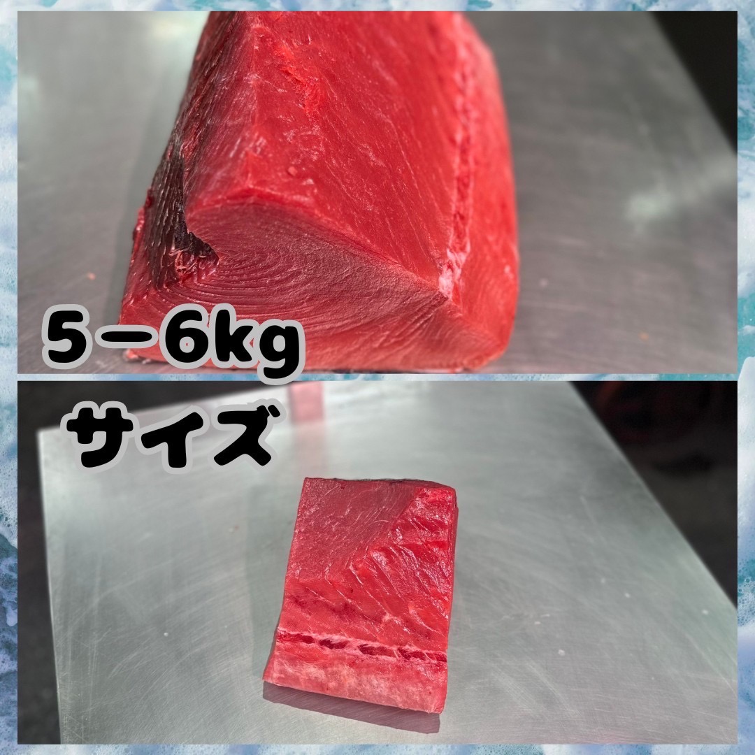 本マグロ（養殖） | UUUO(ウーオ)