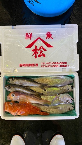 鮮魚BOX約3.1kg(延縄) | UUUO(ウーオ)